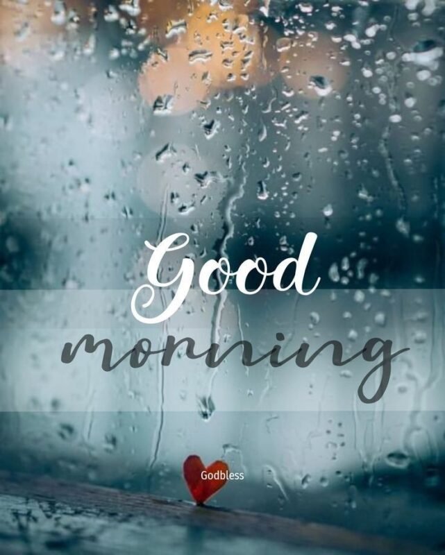 40+ Good Morning Rain Drops Images - Good Morning Pictures