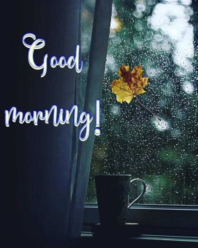 40+ Good Morning Rain Drops Images - Good Morning Pictures