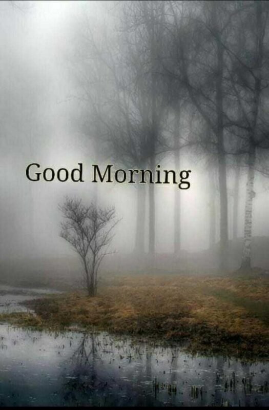 25+ Good Morning Fog Images - Good Morning Pictures