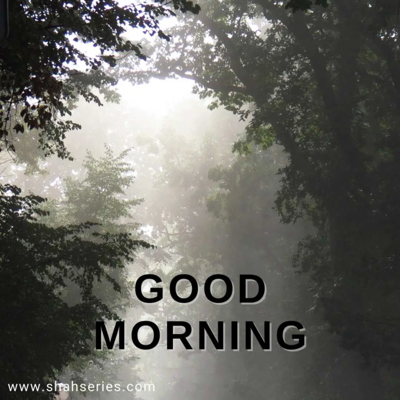 25+ Good Morning Fog Images - Good Morning Pictures